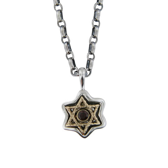Michael Bromberg Sterling Silver and 14K Jewish Star Pendant – CBL Fine Art